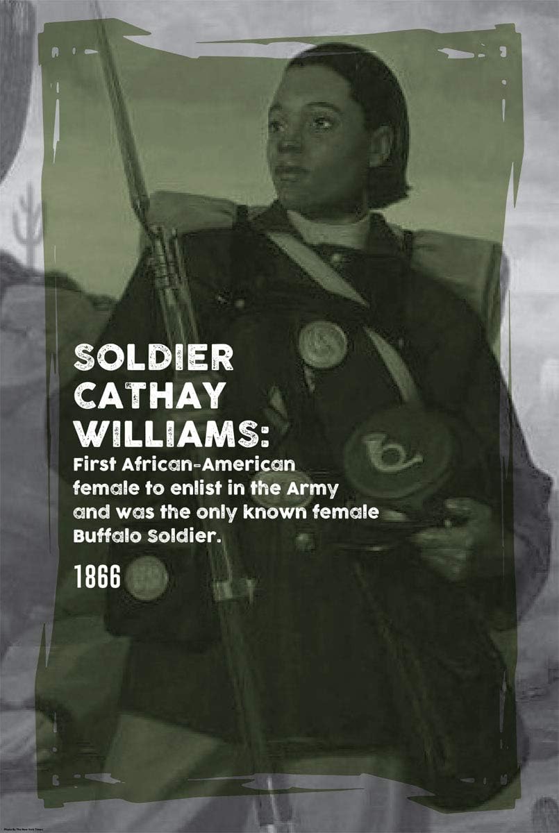 Amazon.com: The Supply Room African American History Unframed Gloss ...