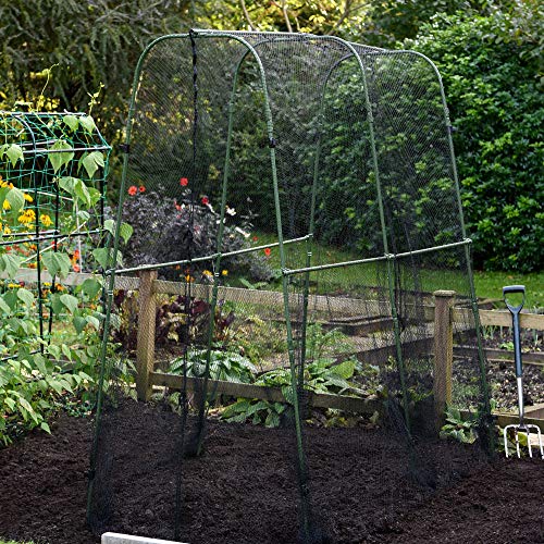 Garden Gear 1.8 x 1.8m Walk-In Crop Cage with Mesh Netting Included ...