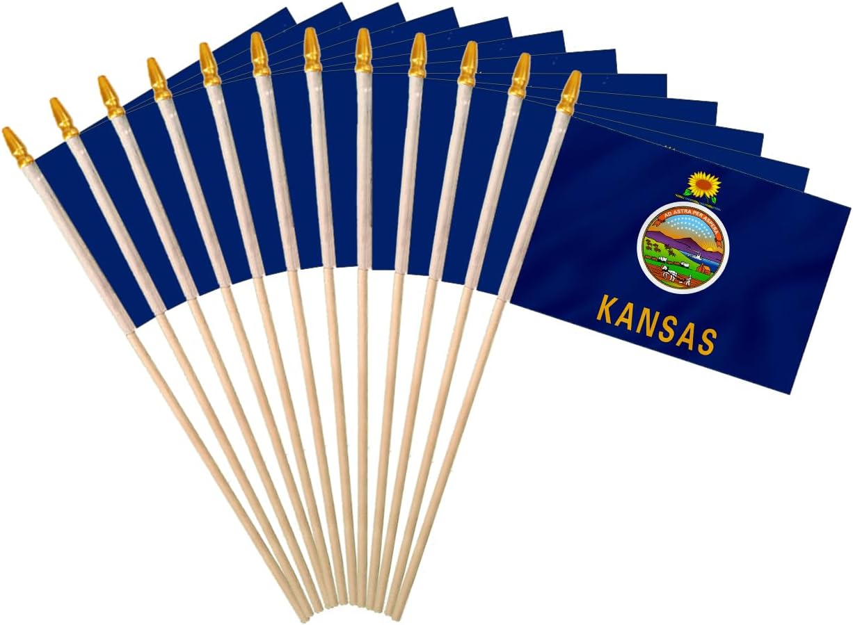 Amazon.com : Kansas State Handheld Stick Flag 4x6 Inch 12 Pack Small ...