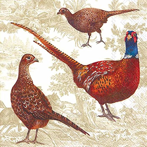 Ideal Home Range 20 Count Cocktail Napkins, Pheasant Scene : Amazon.in ...