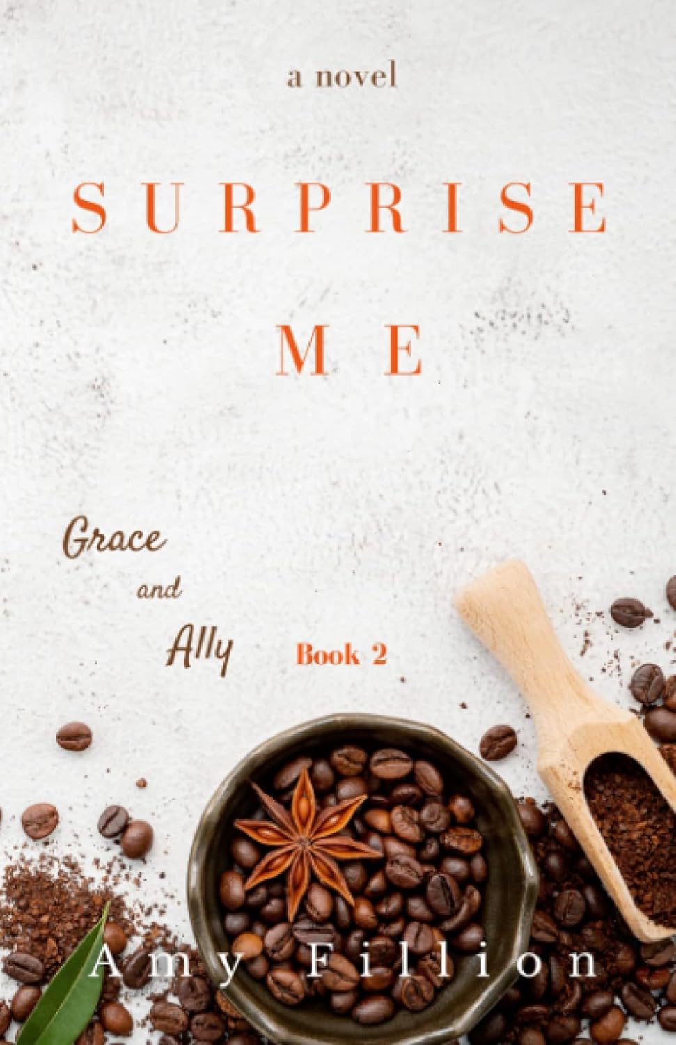 Surprise Me: A Novel (Grace and Ally Book 2): Fillion, Amy ...
