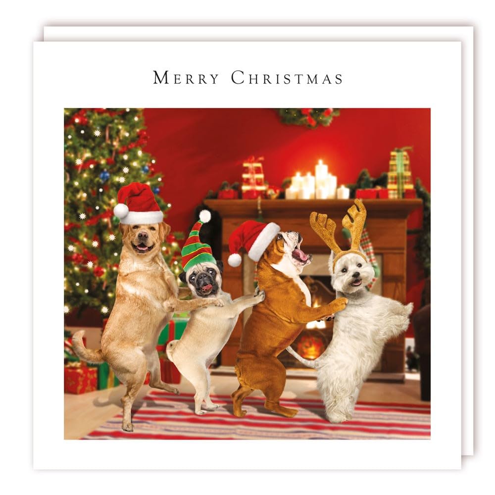 Tracks Publishing Charity Christmas Cards - Funny Dog Conga Line - Eco ...