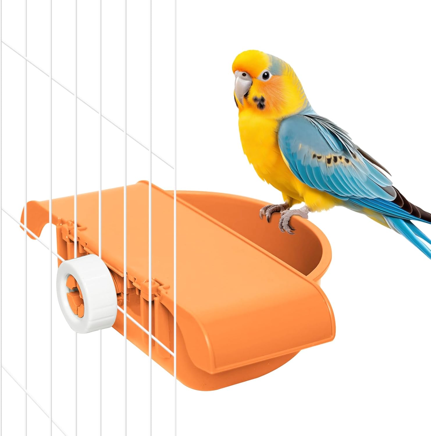 Amazon.com : Vannon Bird Feeder Bowl Bird Crate Food and Water ...