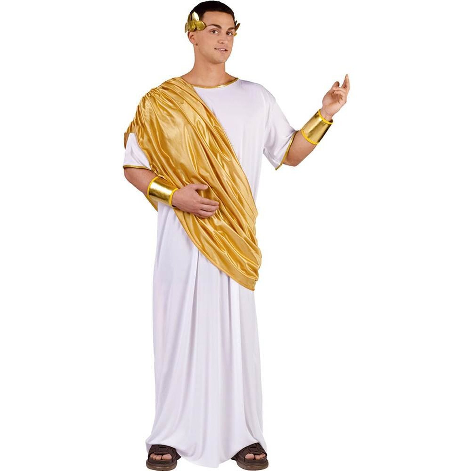 Julius Caesar Costume Homemade