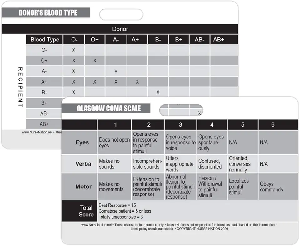Glasgow Coma Scale: Assessing Stroke Patient Consciousness | MedShun
