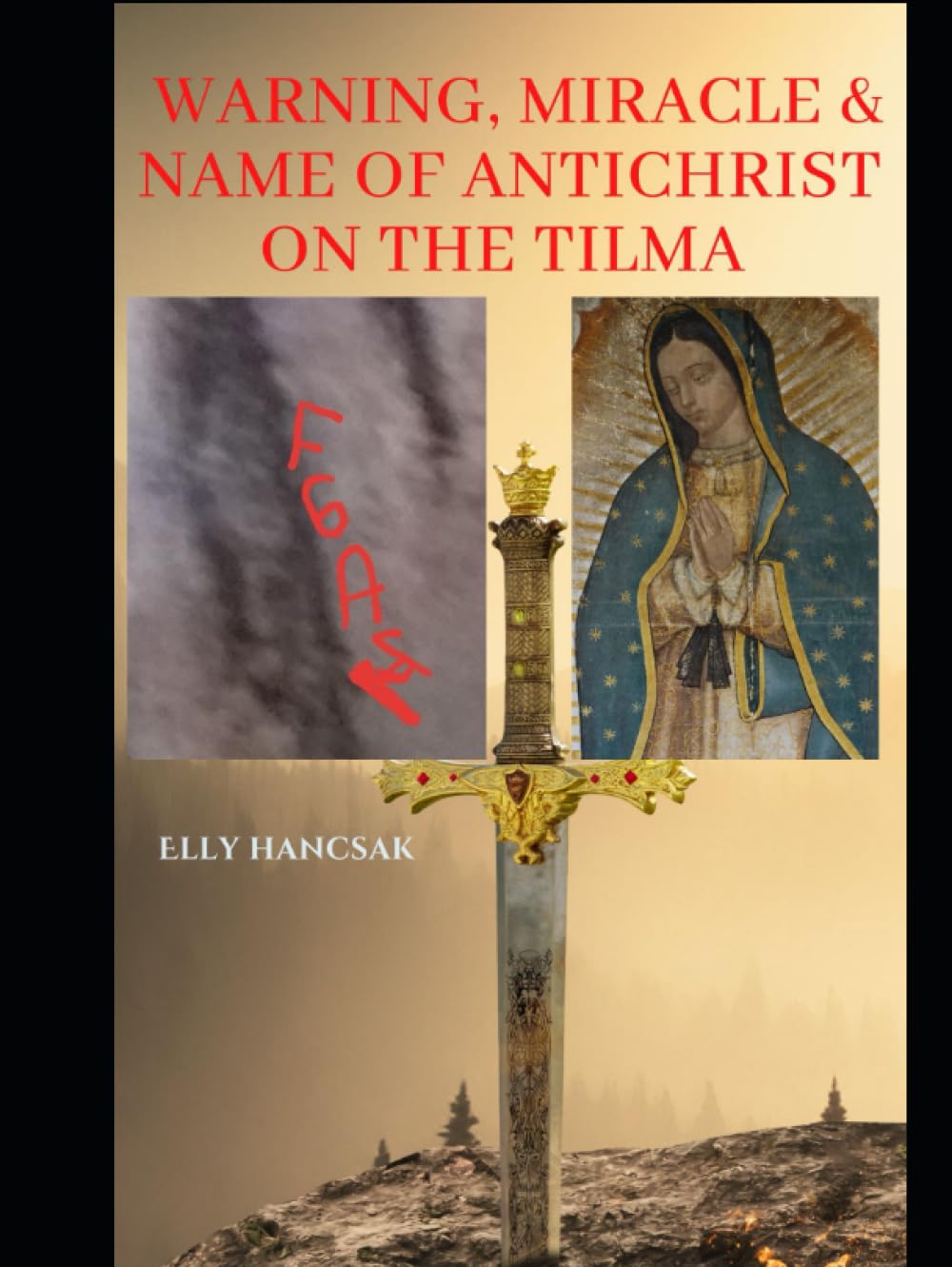 Amazon.com: THE WARNING, MIRACLE & NAME OF ANTICHRIST ON TILMA ...