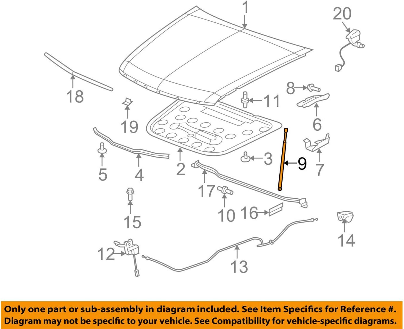 Amazon.com: General Motors 15845091, Hood Lift Support : Automotive