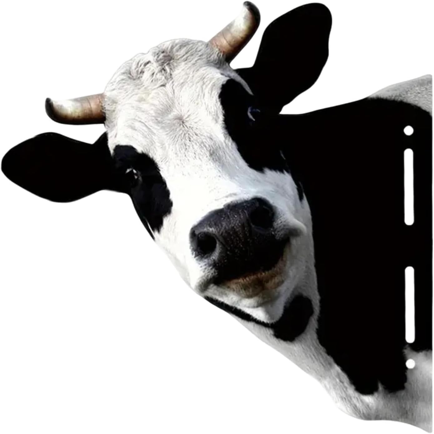 Cows Head Shape, Cute Cows Head Shape, Metal Cow Garden Decor, Peeking ...