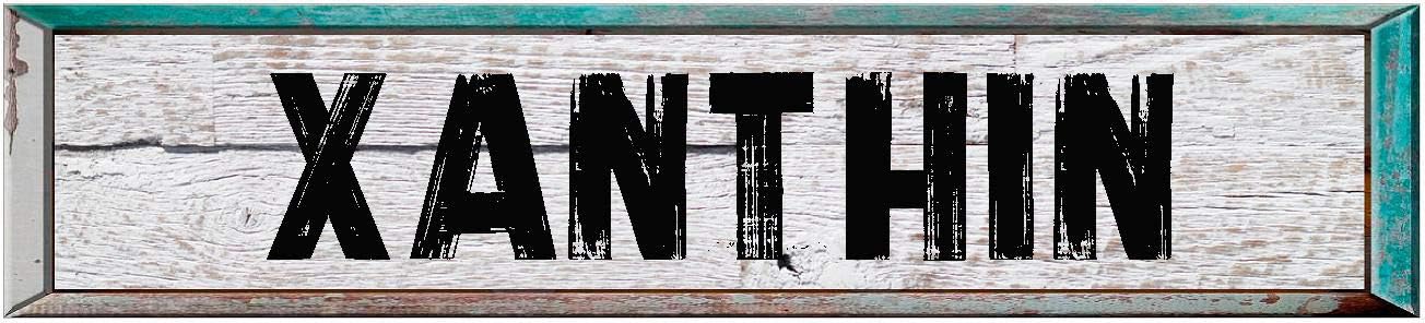 Amazon.com: Xanthin 8" Rectangle White Washed Weathered Painted Wood ...