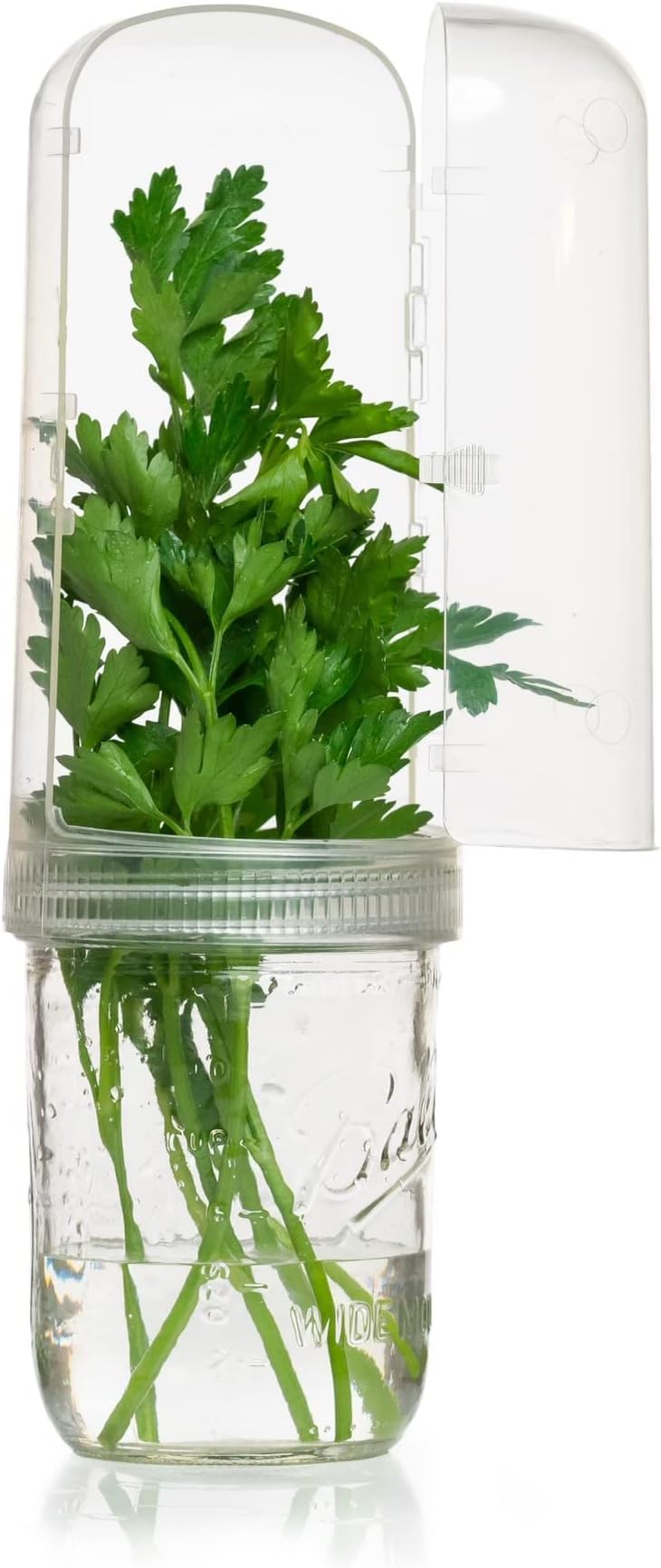 Amazon.com: The Herb Angel -BPA Free: Clear Herb Container for Fridge ...