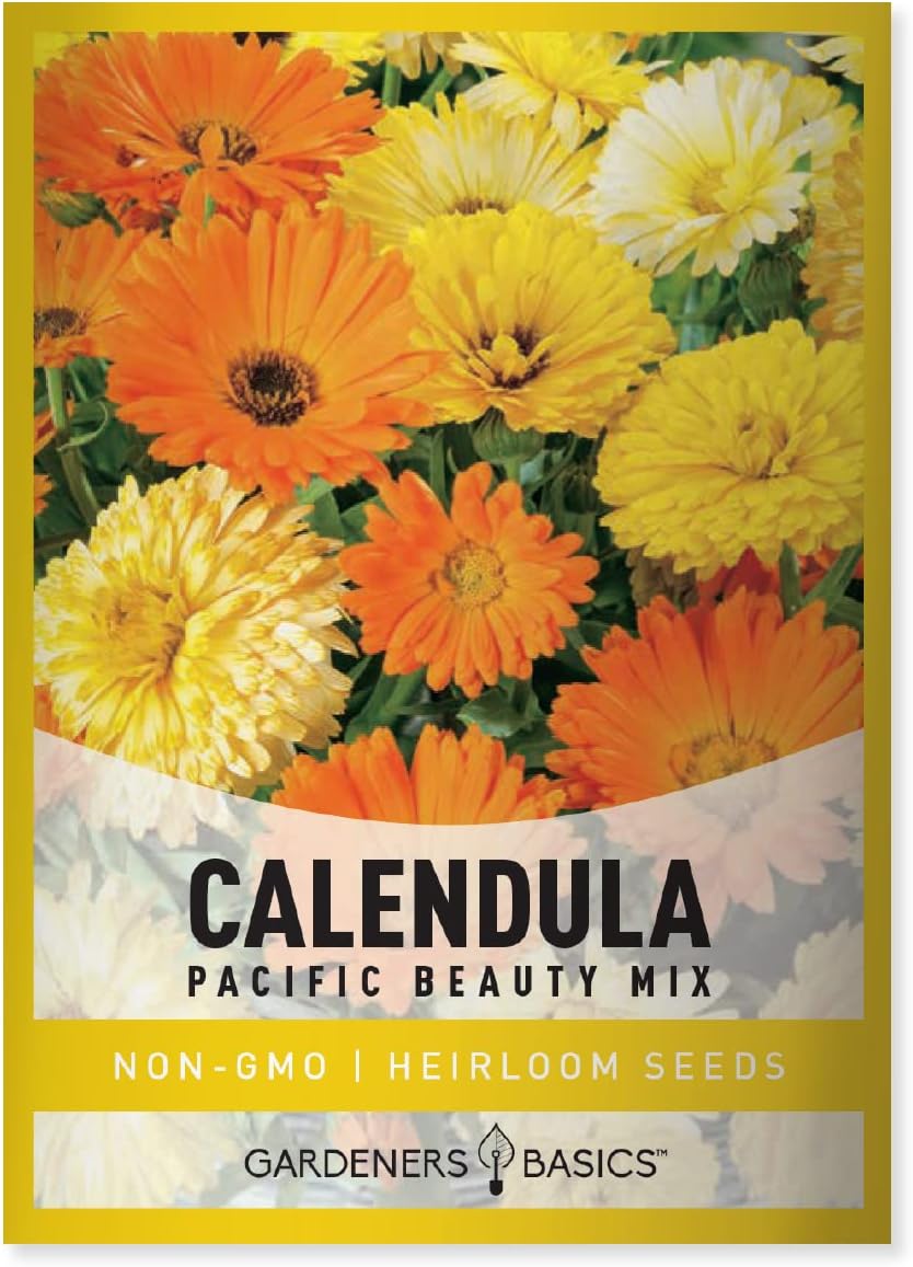 Amazon.com : Calendula Flower Seeds, Pacific Beauty Mix, Pack of 2000 ...