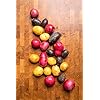Amazon.com : 60 Mixed Color Potato Seeds for Growing Outdoors, True ...