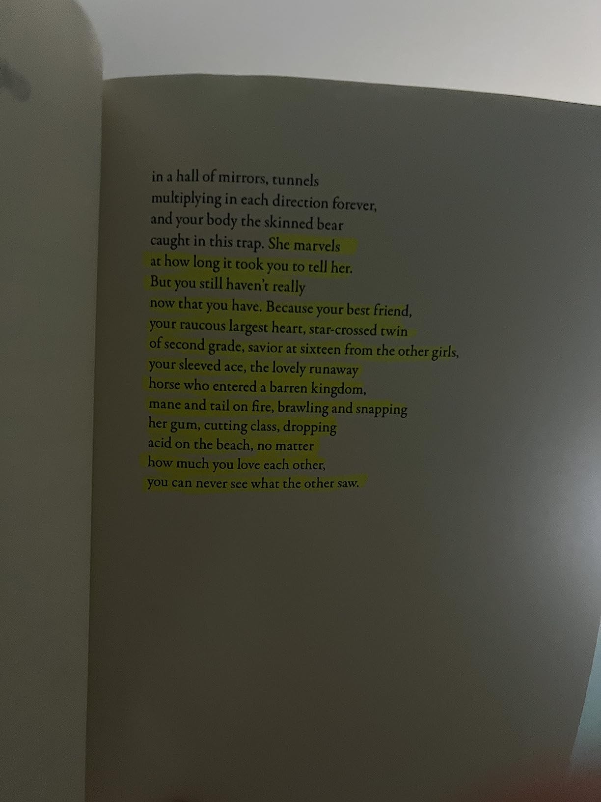 Amazon.com: Velvet Hounds: poems (Akron Series in Poetry ...