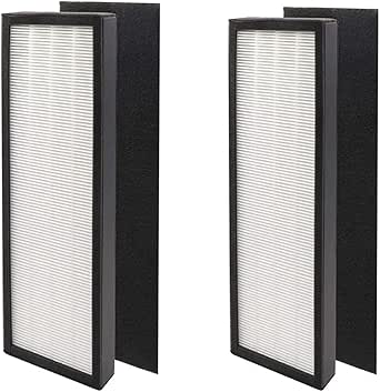 Amazon.com: FLT4825 HEPA Filter Replacement for Filter B, Compatible ...