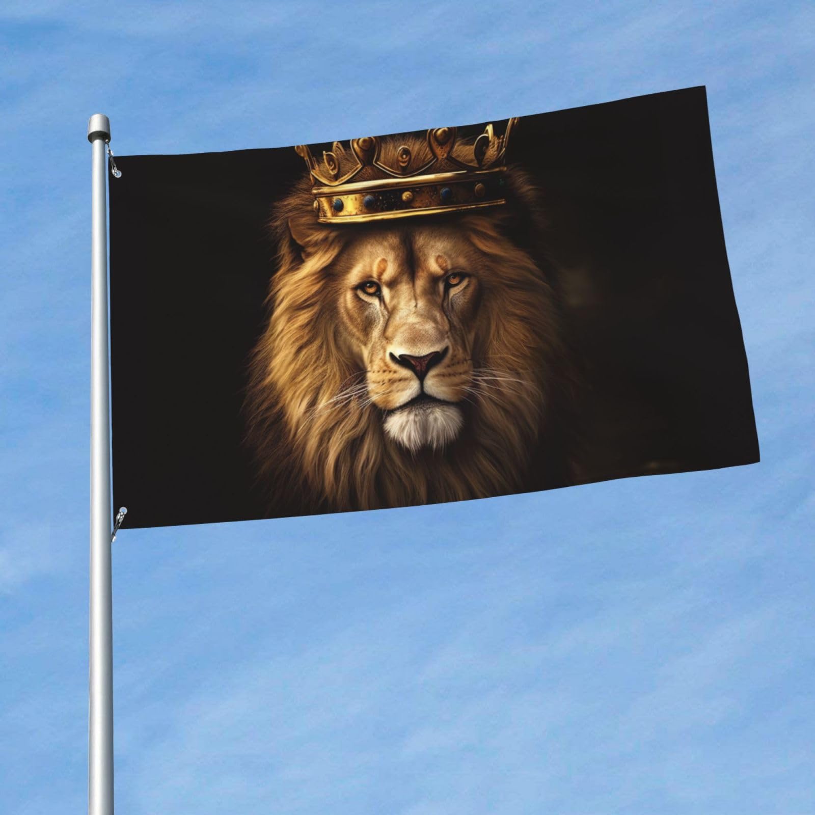 Lion Of Judah Flag Country