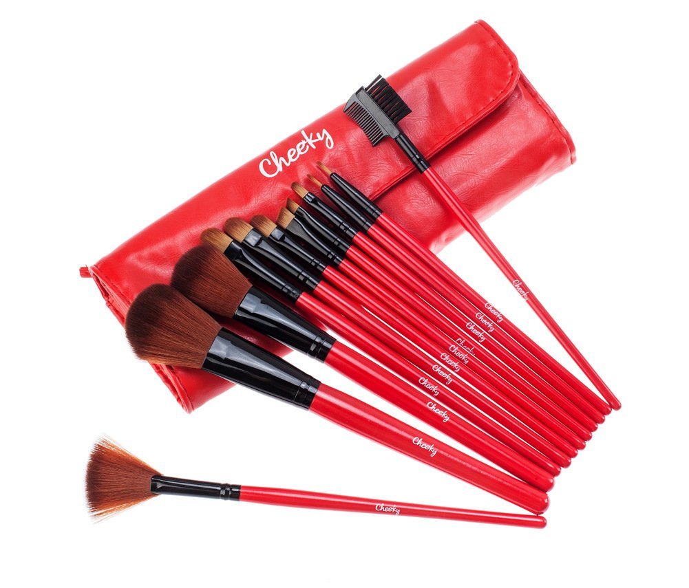 Amazon.com: Amazing Value Set of 12 Professional Makeup Artists ...