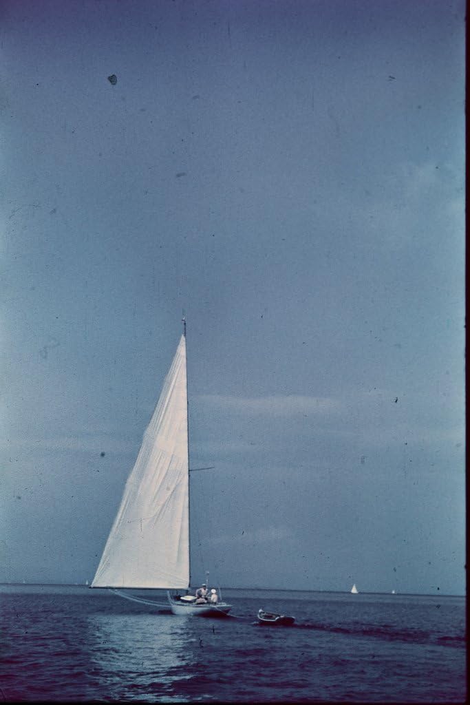 Amazon.com: POSTER Seilbat i Oslofjorden Beskrivelse: Vind seilene ...