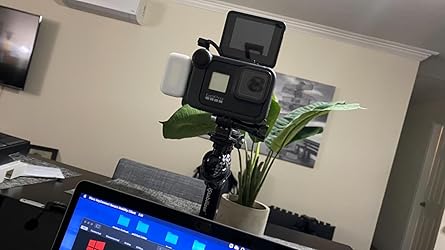 Amazon.com : GoPro Light Mod - Official GoPro Accessory : Electronics