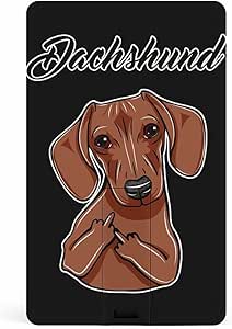 Amazon.com: Dachshund Middle Finger Gesture Flash Drive USB 2.0 32G ...