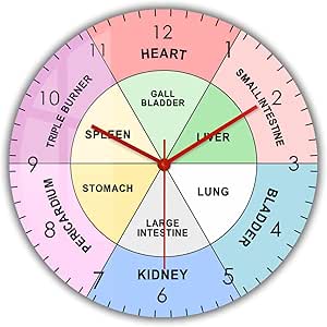 Amazon.com: 12 inch Wall Clock Chinese Organ TCM Body Clock Traditional ...