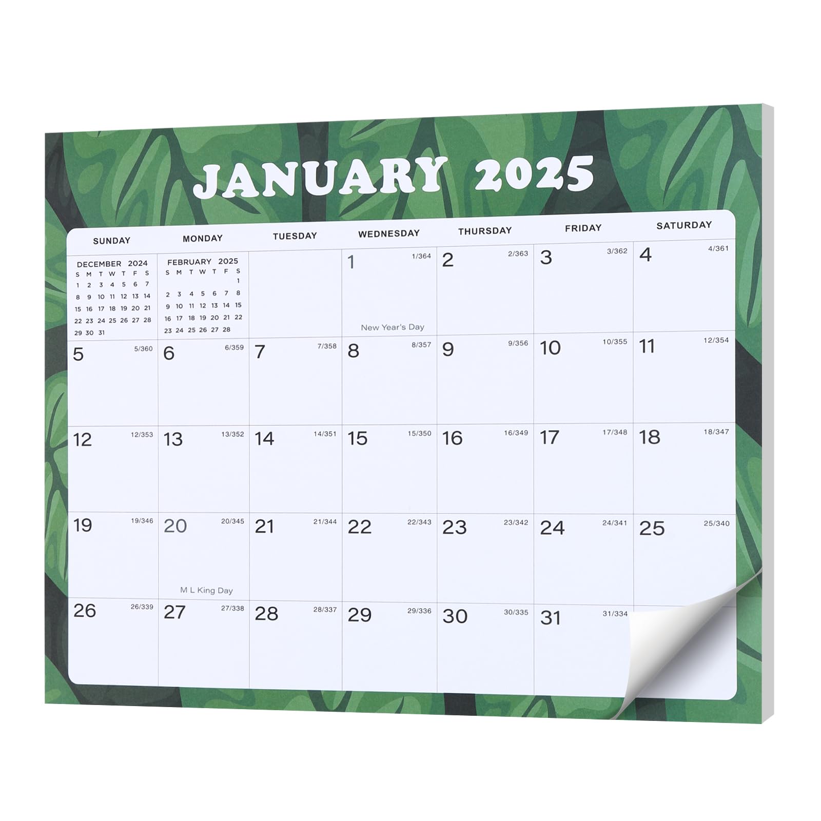 Amazon.com: Lbylyhxc Fridge Calendar 2025 Magnetic Calendar for ...
