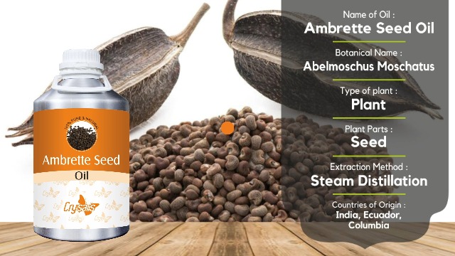 Watch Bulk ambrette seed oil on Amazon Live