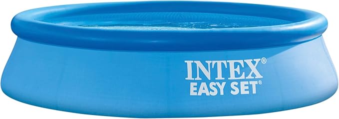 Intex 28120NP Easy Set Up 10 Foot x 30 Inch Pool, Blue : Amazon.de: Garten