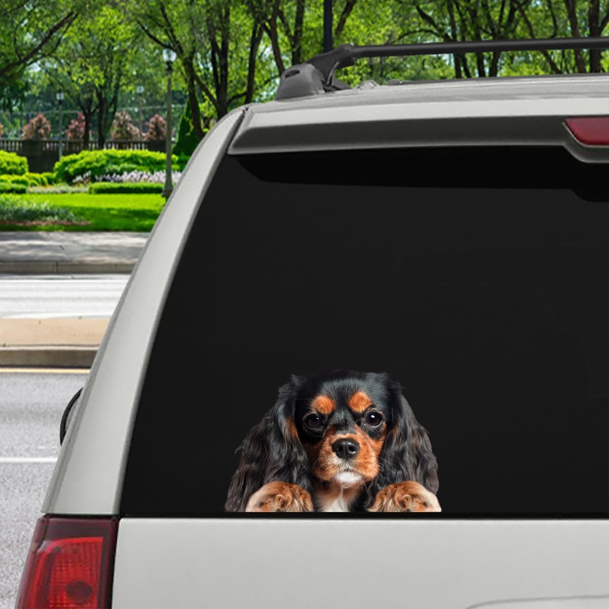 Amazon.com - 3D Tricolor Cavalier King Charles Spaniel Vinyl Sticker ...