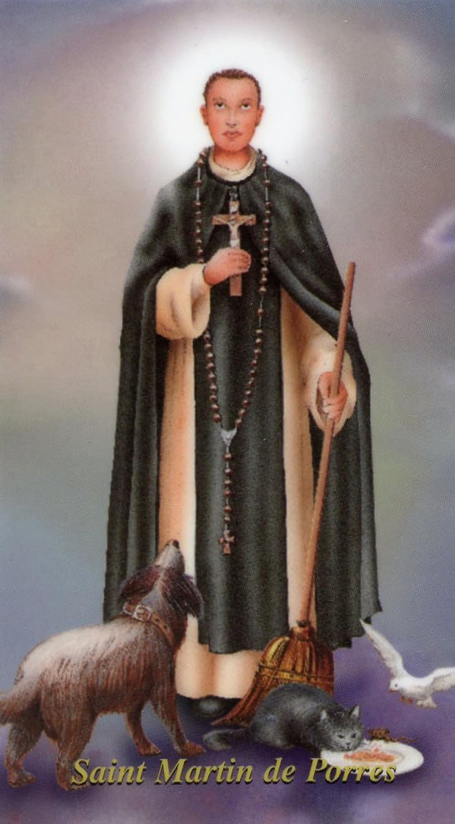 Amazon.com : Prayer to St. Martin de Porres - Laminated holy card ...