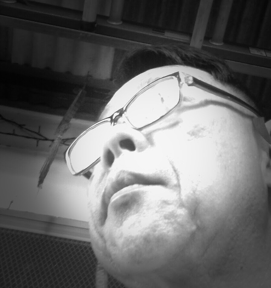 Amazon.com: Jaime Lim: books, biography, latest update