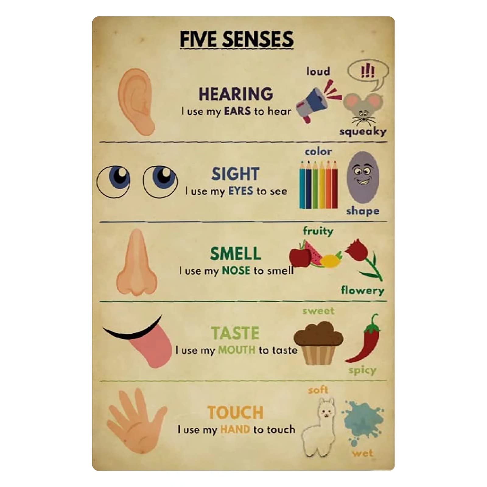 5 Senses Chart For Kindergarten