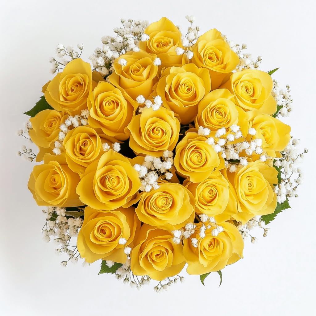 Amazon.com : 2 Dozen Yellow Roses & Fillers- Fresh Cut Flowers for ...