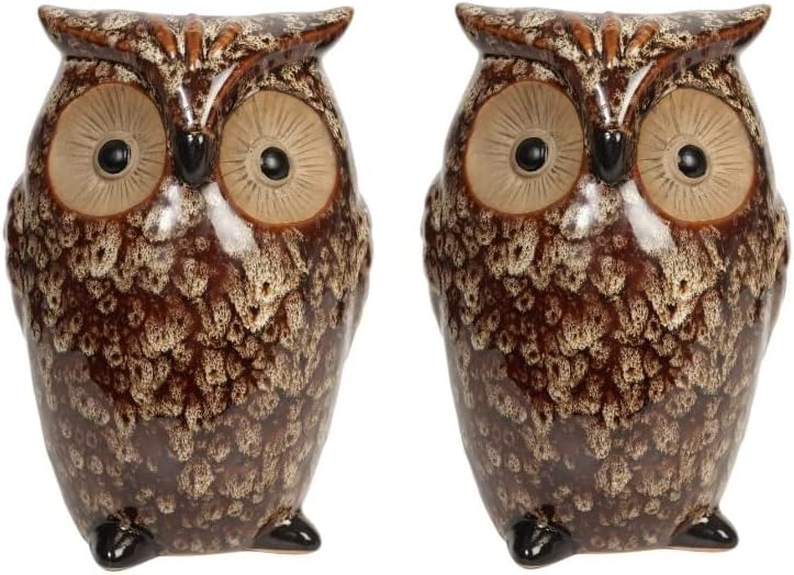 Amazon.com: Hosley 2pk Ceramic Farmhouse Owl Vase, Ideal Gift for ...