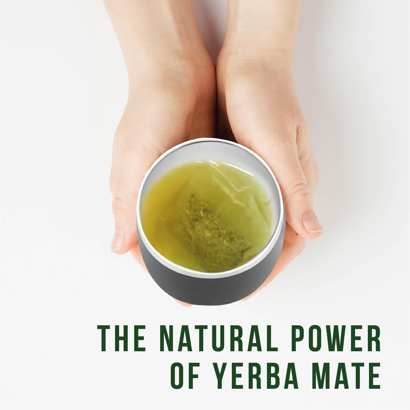 Snapklik.com : 100 Unsmoked Organic Yerba Mate Tea Bags, Organic Yerba ...