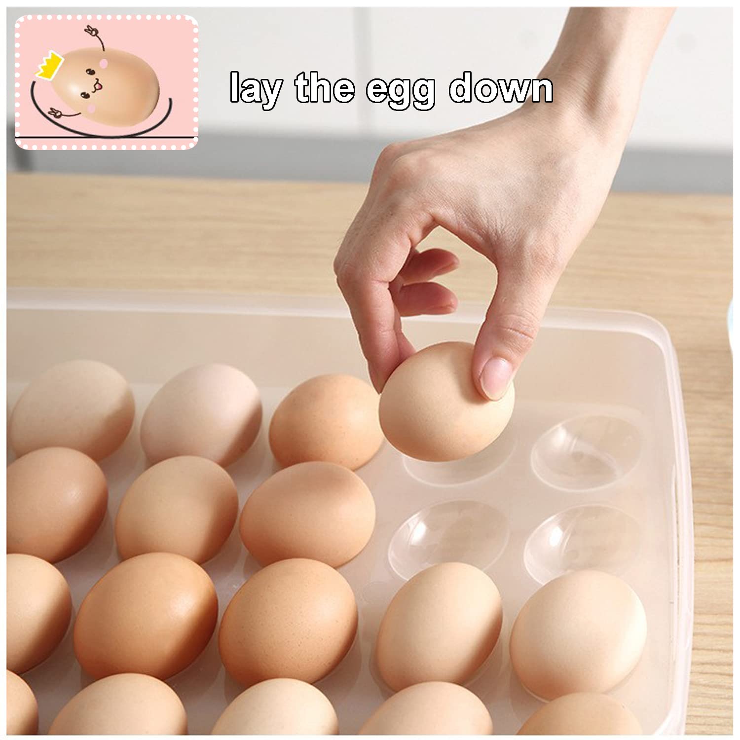 2 Pcs Covered Egg Holders for Refrigerator,Clear Egg Tray Storage Box ...