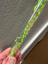 Amazon.com: Insect Lore Live Baby Ladybug Larvae - Ladybug Growing Kit ...