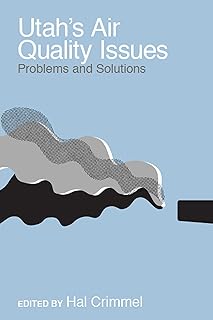 Pollution's Harmful Impact: Key Issues And Challenges | ShunWaste