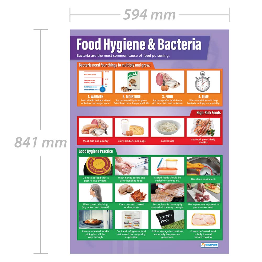 Food Hygiene & Bacteria | Design & Technology Posters | Laminated Gloss ...