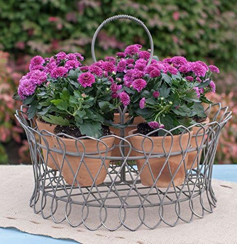 Amazon.com : Carousel Planter with Five Pots : Patio, Lawn & Garden