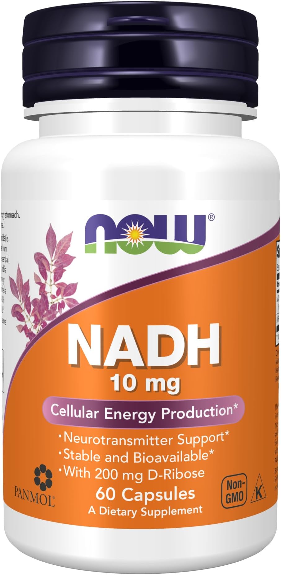 Source Naturals NADH 10 mg , 10 Cápsulas : Amazon.com.mx: Salud y ...