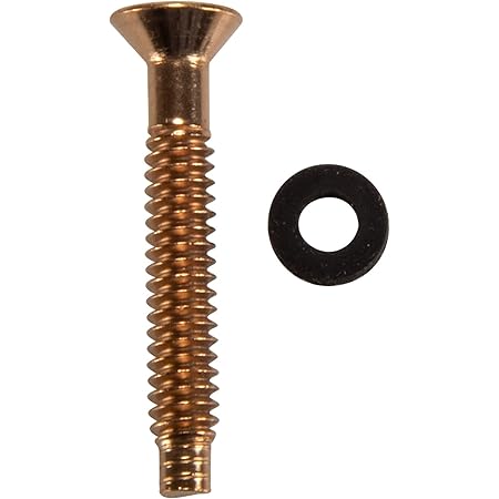 Amazon.com: Pentair 619355 Stainless Steel Pilot Screw with Captive Gum ...