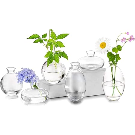 Amazon.com: Glass Bud Vases Set of 6, Hewory Cute Clear Small Vases ...