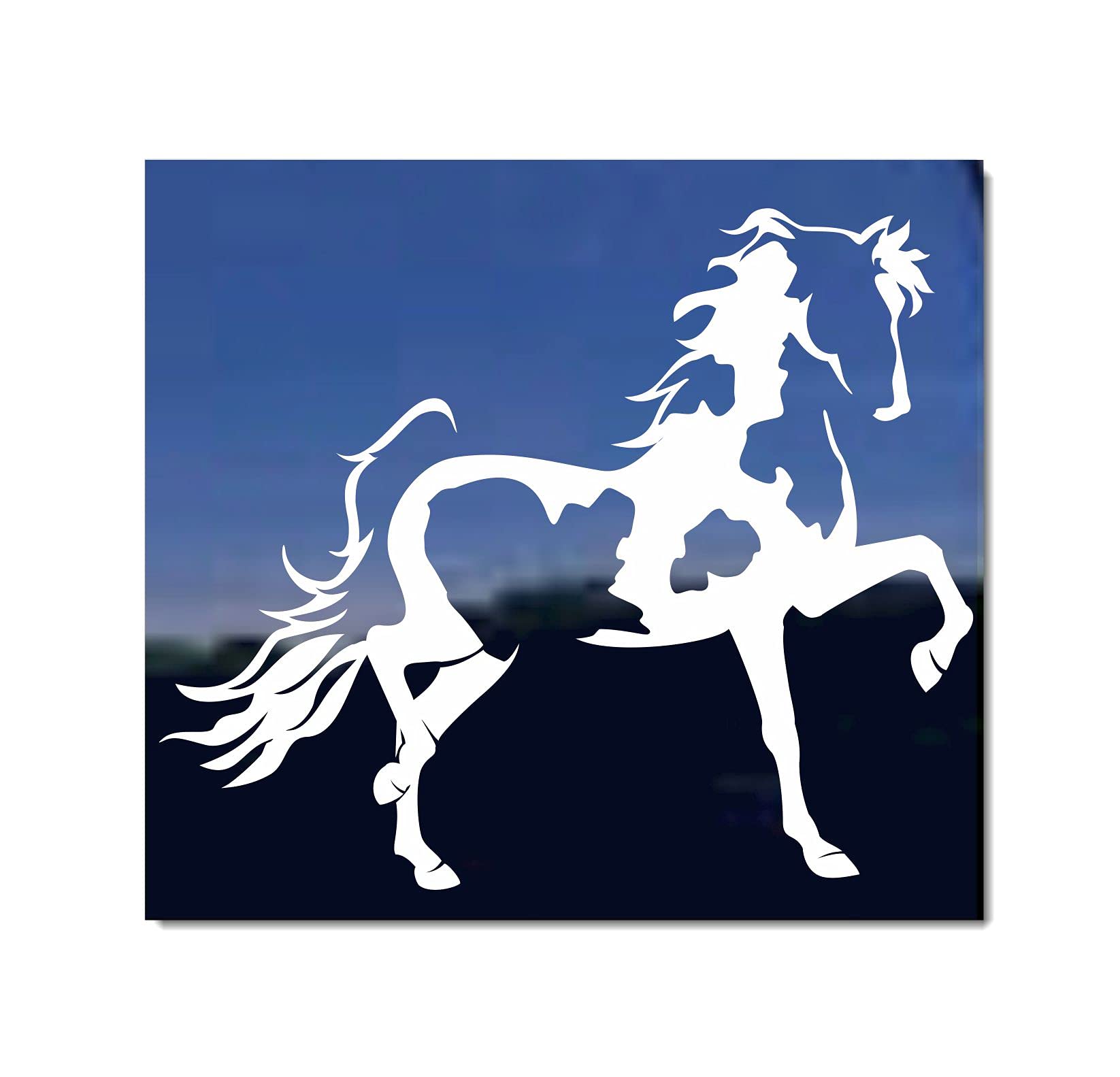 Amazon.com: Pinto Arabian Saddlebred National Show Horse Trailer Vinyl ...