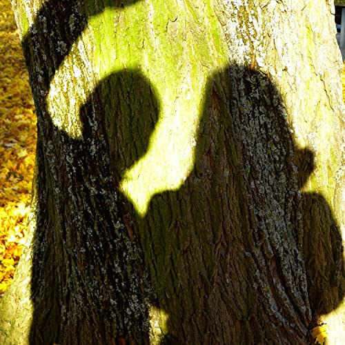 Amazon Music Unlimited - Serena Bennett 『Lemup』