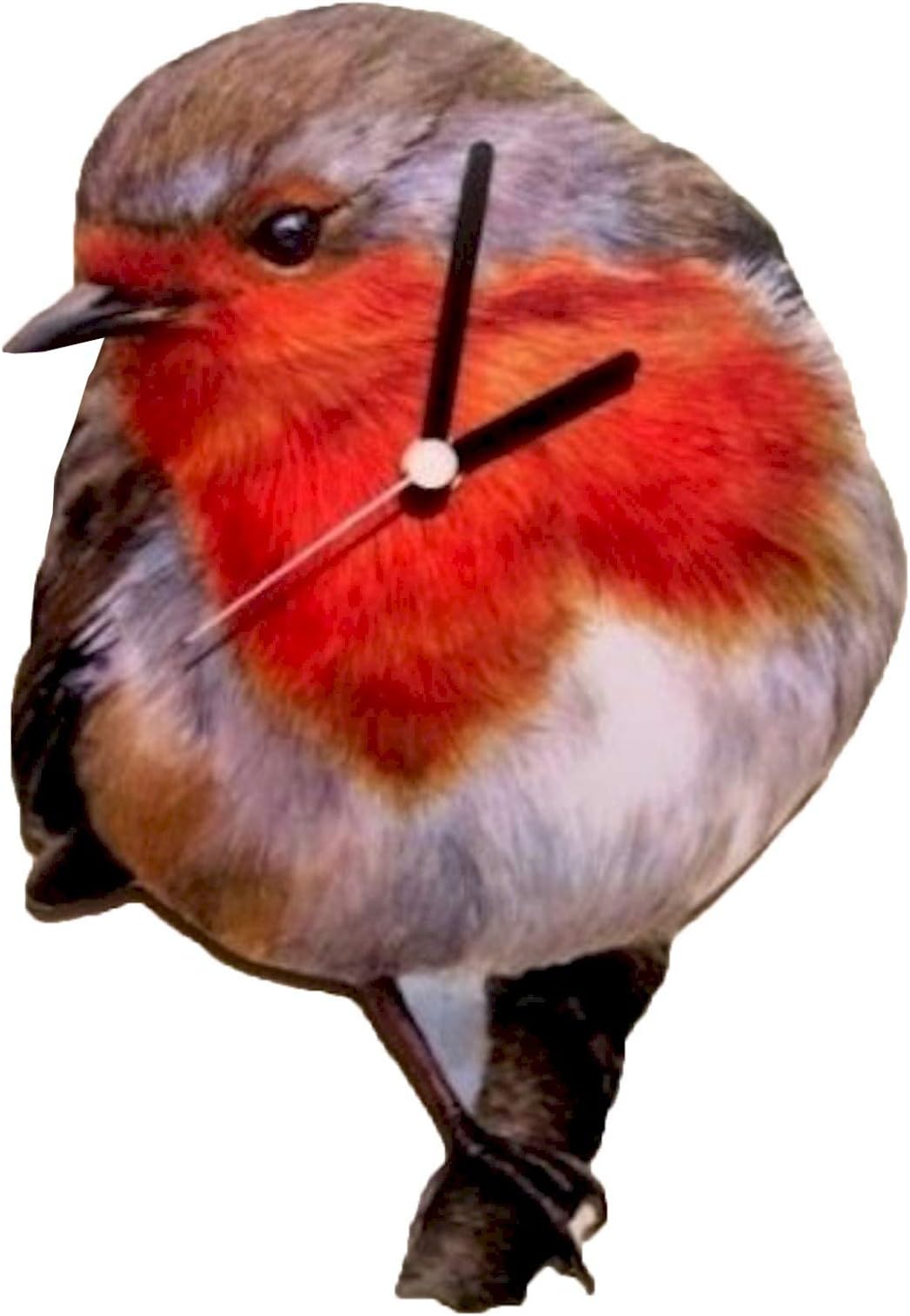 Wrendale Designs by Hannah Dale - Woodland Robin Bird Wall Clock - 30cm ...
