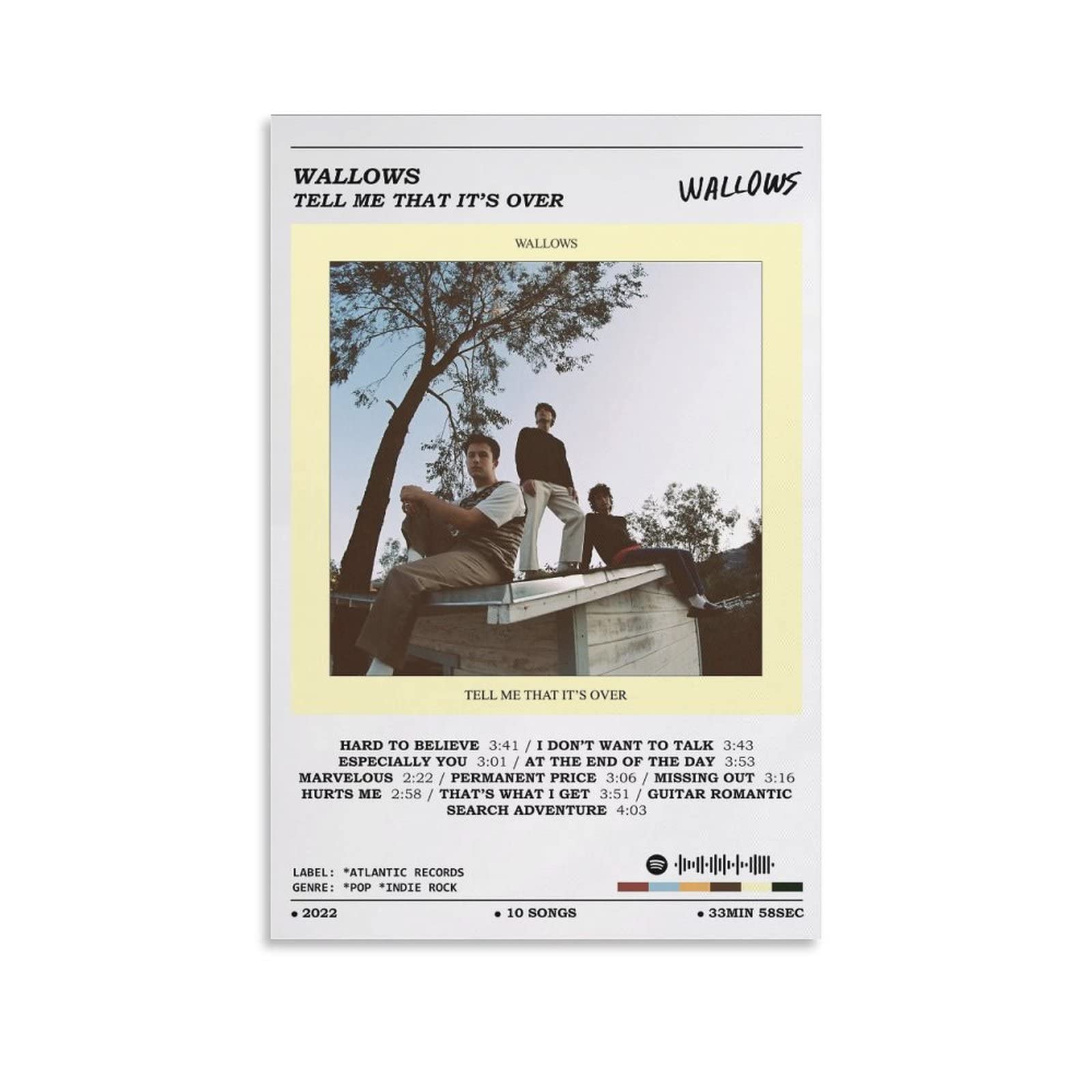 Amazon.com: Wallows - Tell Me That It's Over Album Cover Canvas Poster ...