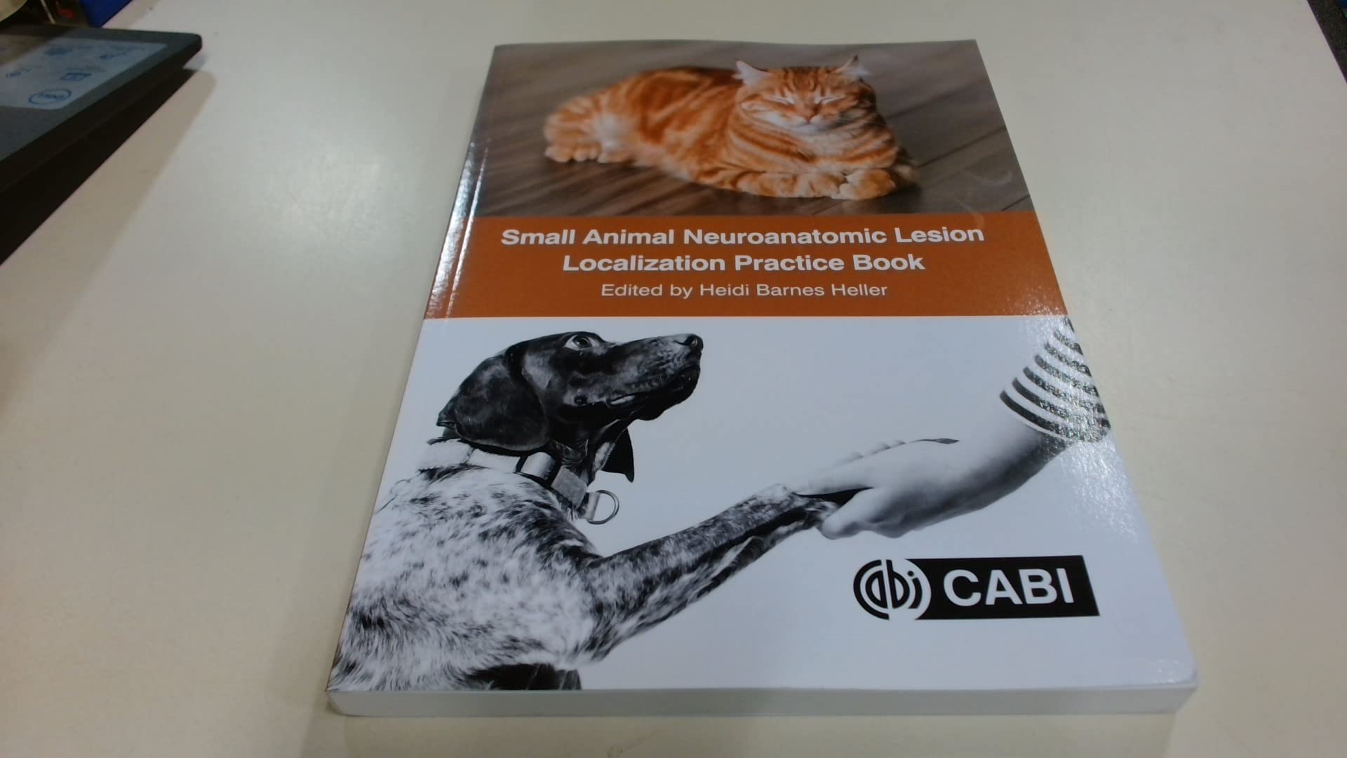 Amazon | Small Animal Neuroanatomic Lesion Localization Practice Book ...