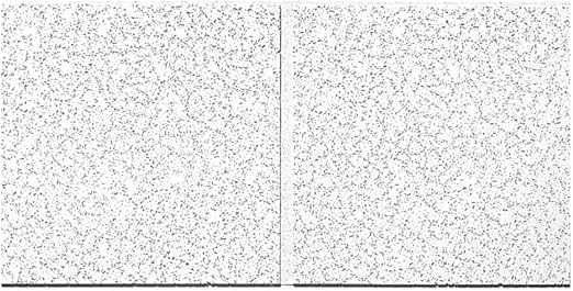 Armstrong Ceiling Tiles; 2x4 Ceiling Tiles - 10 pcs White Ceiling Tiles ...