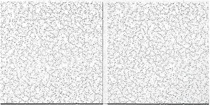 Armstrong Ceiling Tiles; 2x4 Ceiling Tiles - 10 pcs White Ceiling Tiles ...