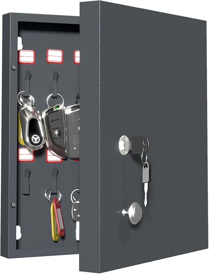 Amazon.com: winiowa 24-Key Lock Cabinet, Metal Security Key Box ...
